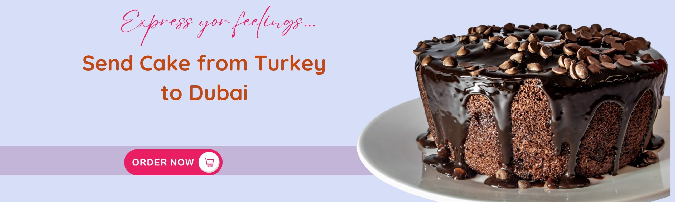 Send Cake from Turkey to Dubai - Best Flowers